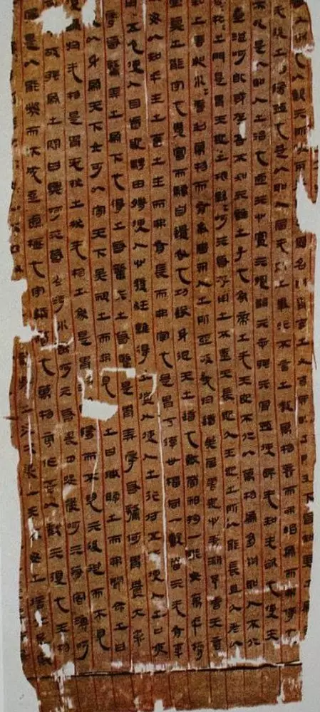 Ķīniešu manuskripts vairāk nekā 2000 gadus ir kļuvis par seno anatomisko tekstu