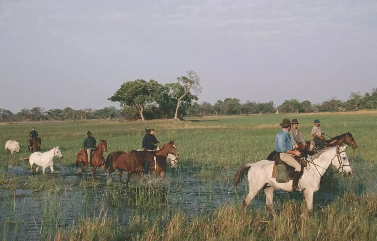 Kuko konke: imizila yase-Equestrian emhlabeni wonke