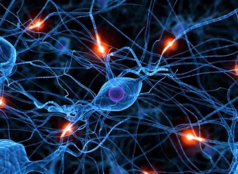 كيف خلايا عصبية تتم استعادة