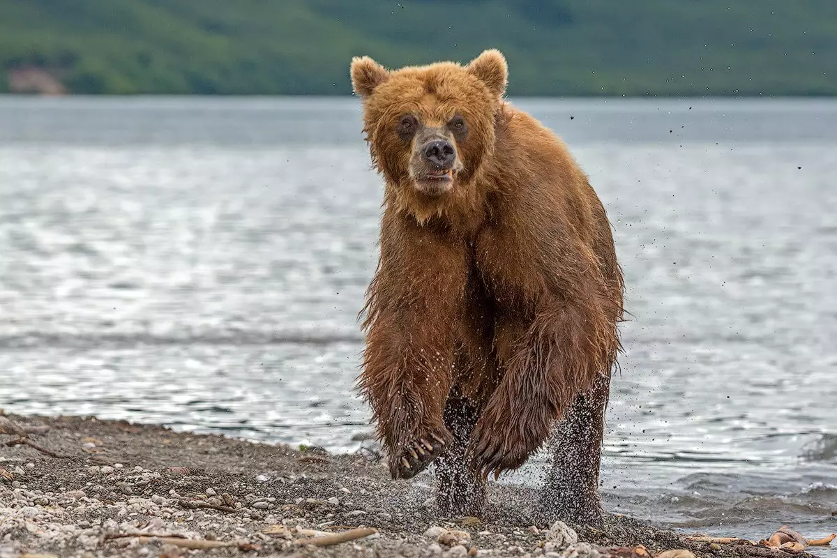 baahi ba US bitsa ka ha ho ea Russia