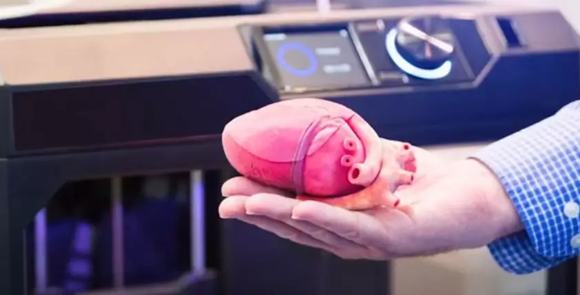Máy in 3D được quản lý để in một mô hình trái tim thực tế: video
