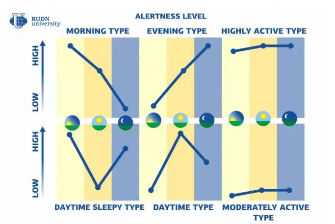 ผู้คนถูกแบ่งไม่เพียง แต่ที่ Sovie และ Zhavoronkov: มี 6 Chronotypes ที่แตกต่างกัน 6 คน