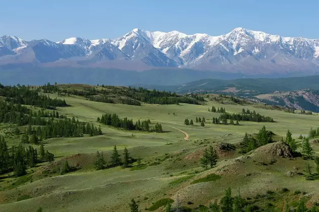 Altai_Kuray_Miborod1.jpg