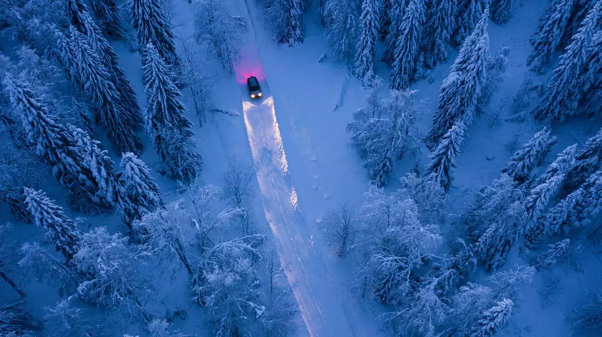 Taiga Romance: Voyager autour de la région d'Arkhangelsk