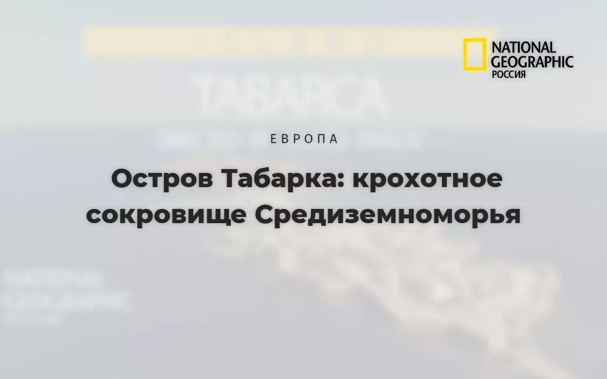 Востраў Табарка: маленечкае скарб Міжземнамор'я