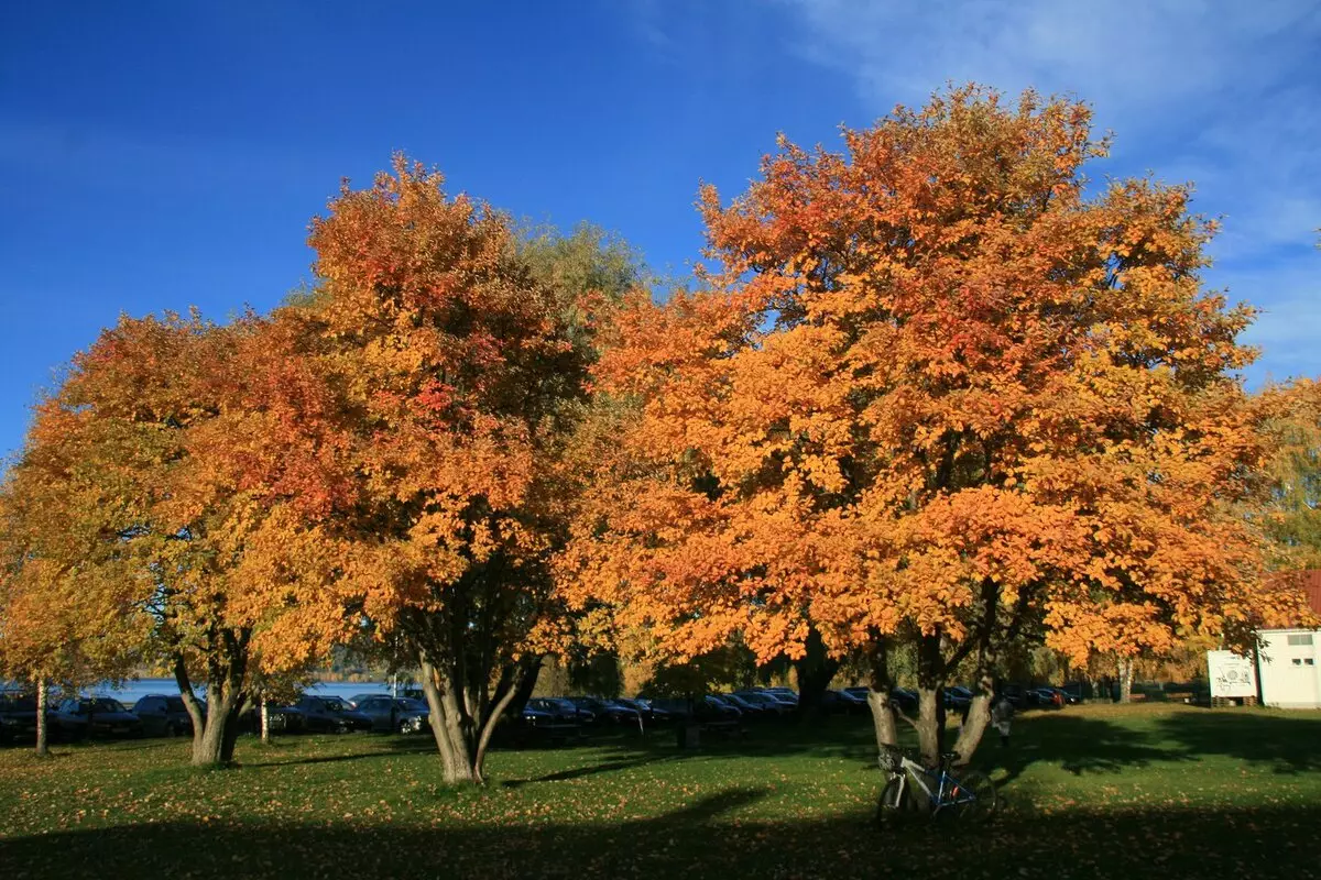 Heldland, Норвегия. Vidariv /flickr.com