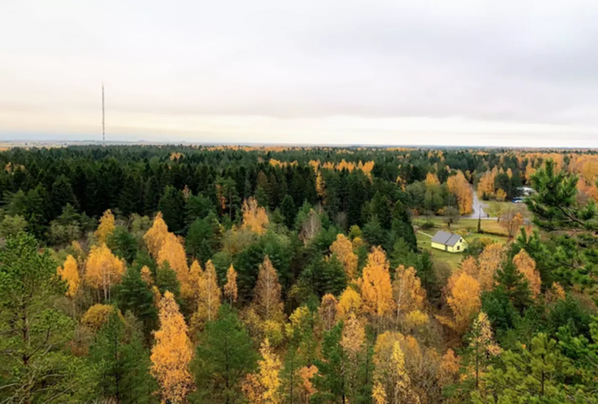 Career shale haza in Ida-Virumaa, Estonia. Sary: Ilya Minsk