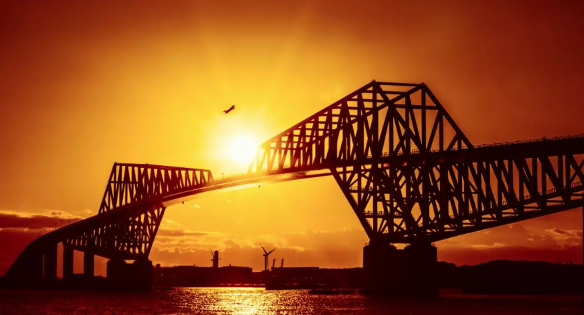 Bridge dinosaur: useful decoration of Tokyo