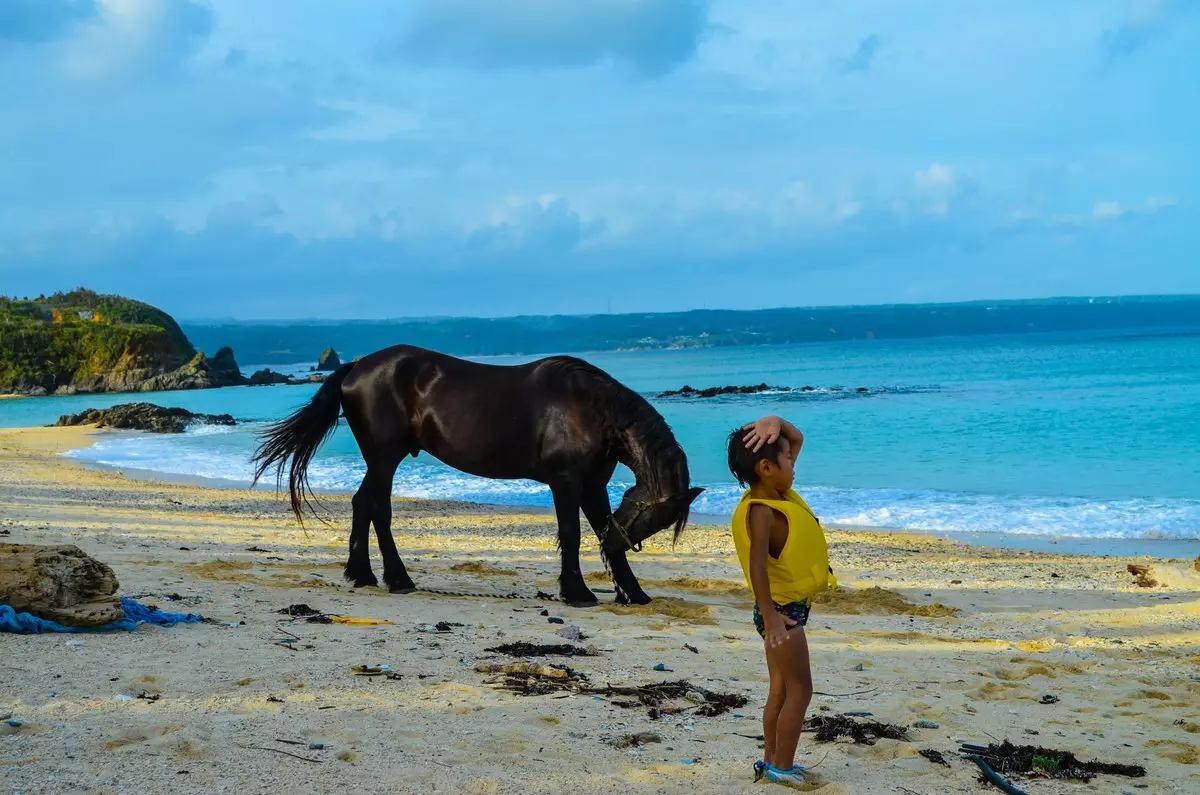 Okinawa: Japan, sydd hyd yn oed yn gwybod y Siapan