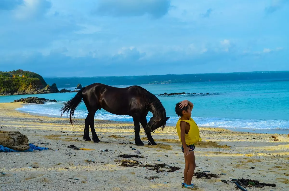 Michaił Kenegez. Północna okinawa.jpg.