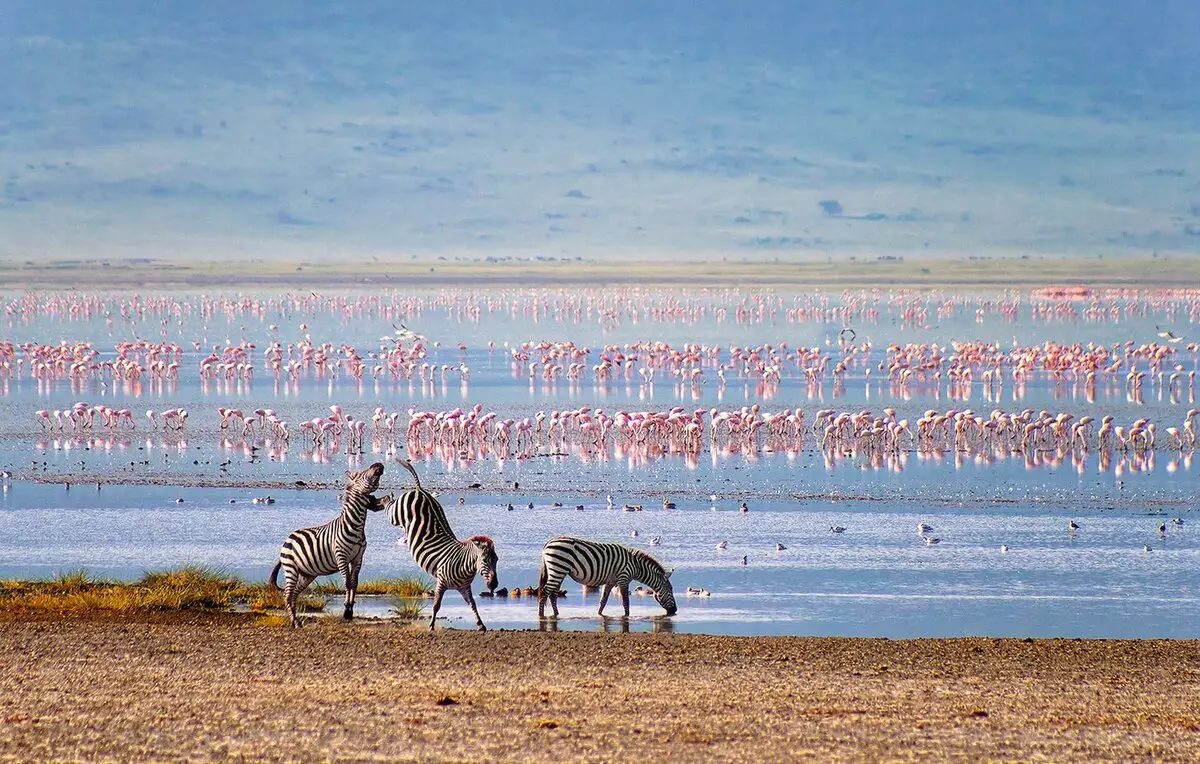 Crater Ngorongoro Tanzania