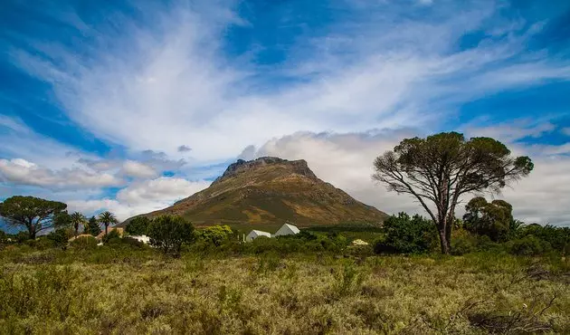 Stellenbosch-1855064_960_720.jpg