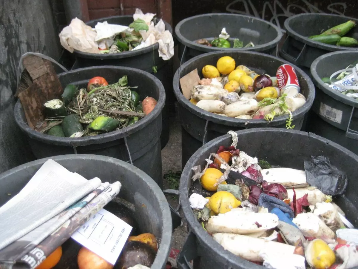 Hampir satu bilion tan makanan dibuang untuk tahun 2019