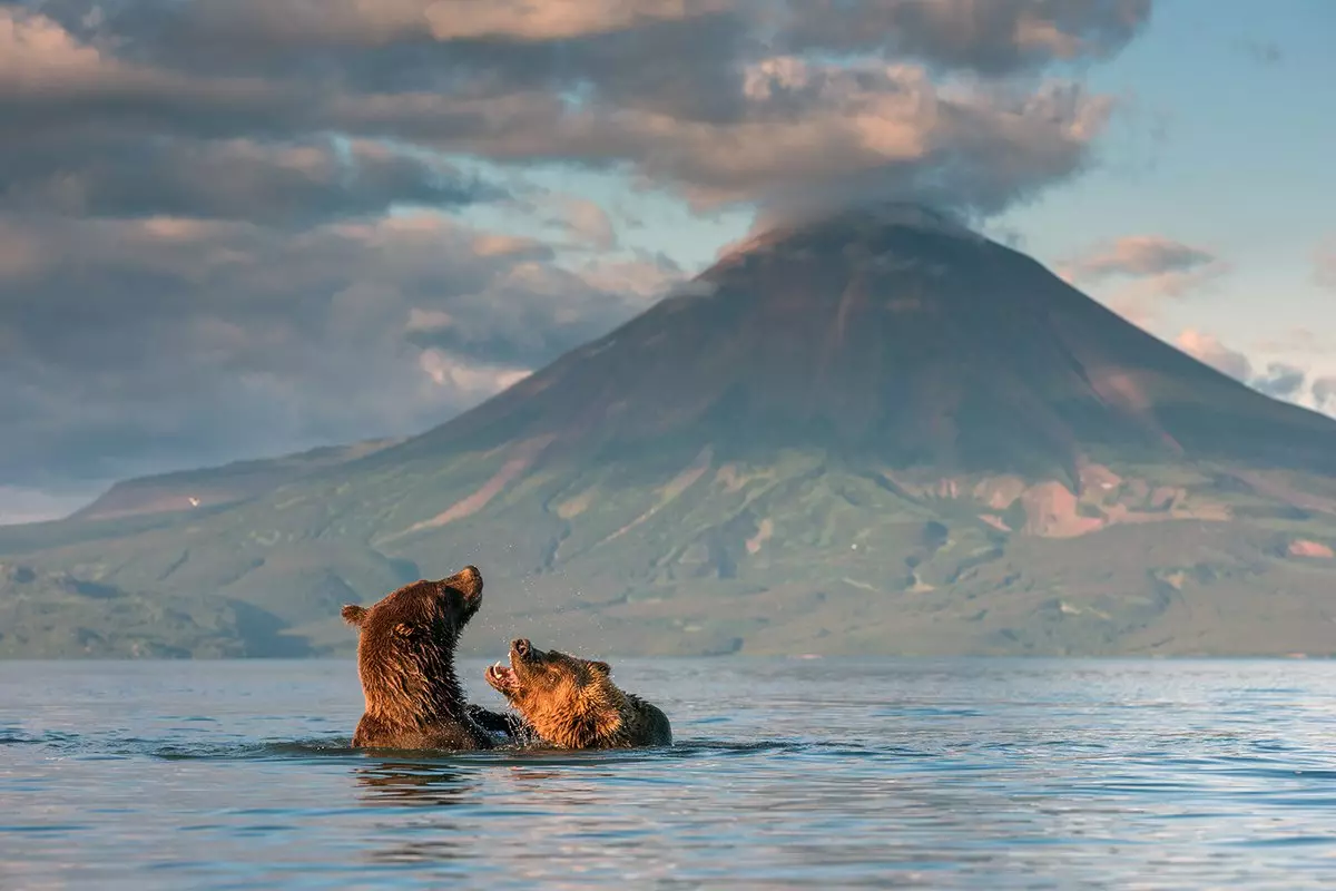 En el mar de los animales.