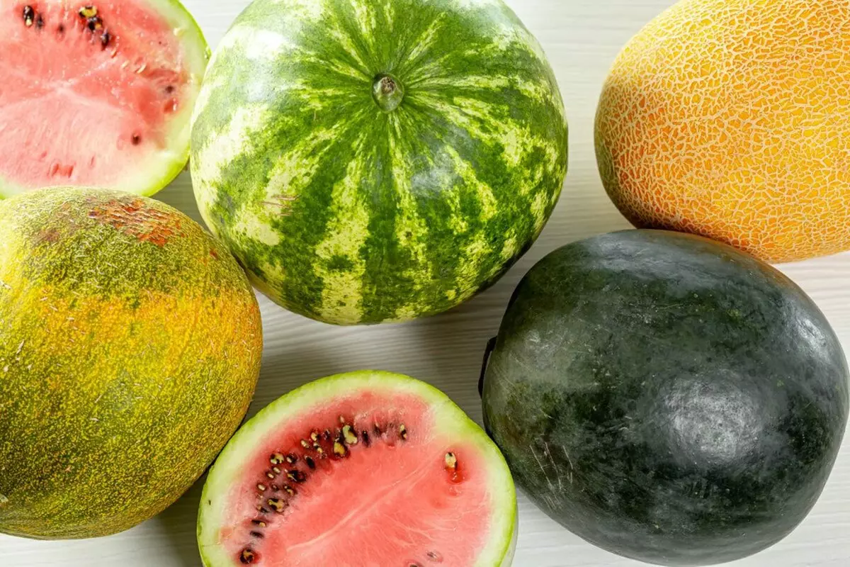 Sa Arctic nagsugod sa pagtubo sa mga melon, ug sa watermelons