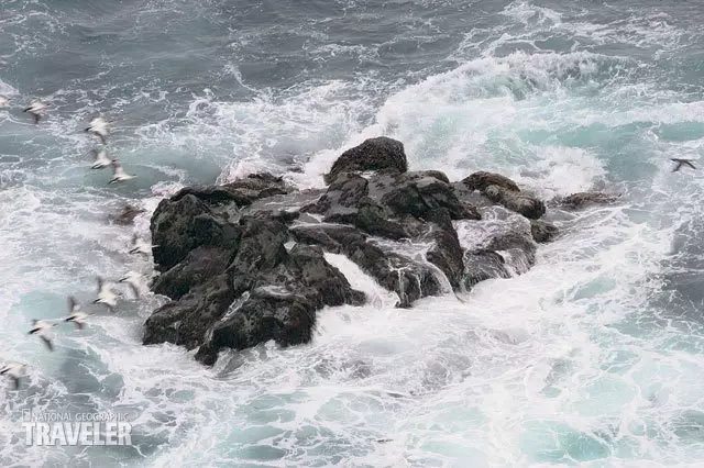 Walen, GeySers a Fëscherei an Island