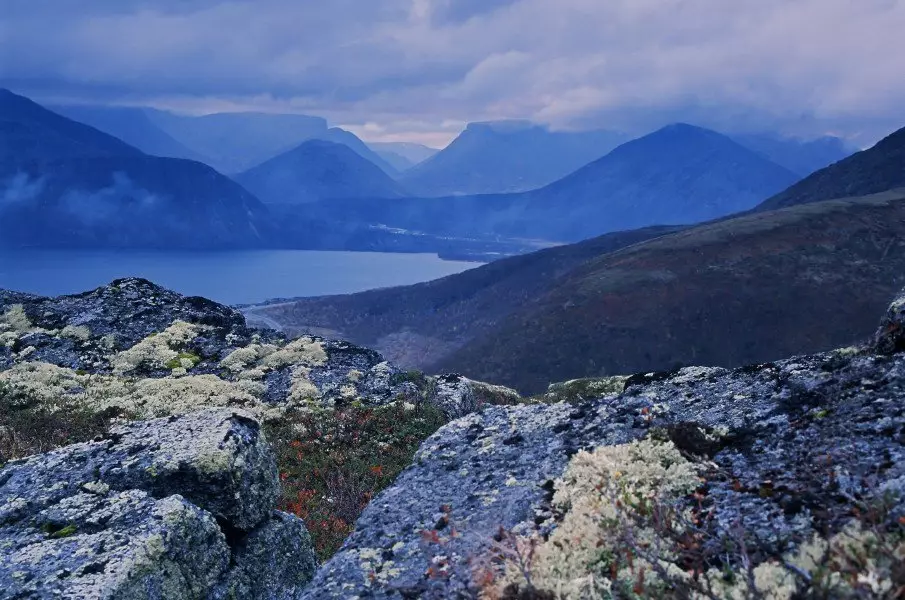 Venäläinen pohjoinen (ilmoitus)