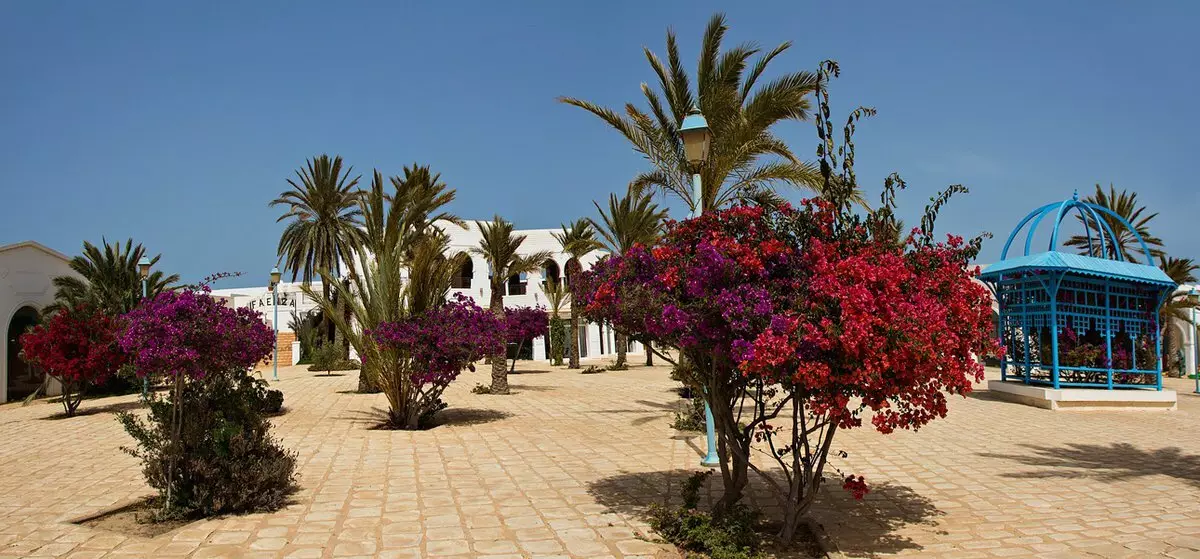 De la mer Méditerranée au Sahara