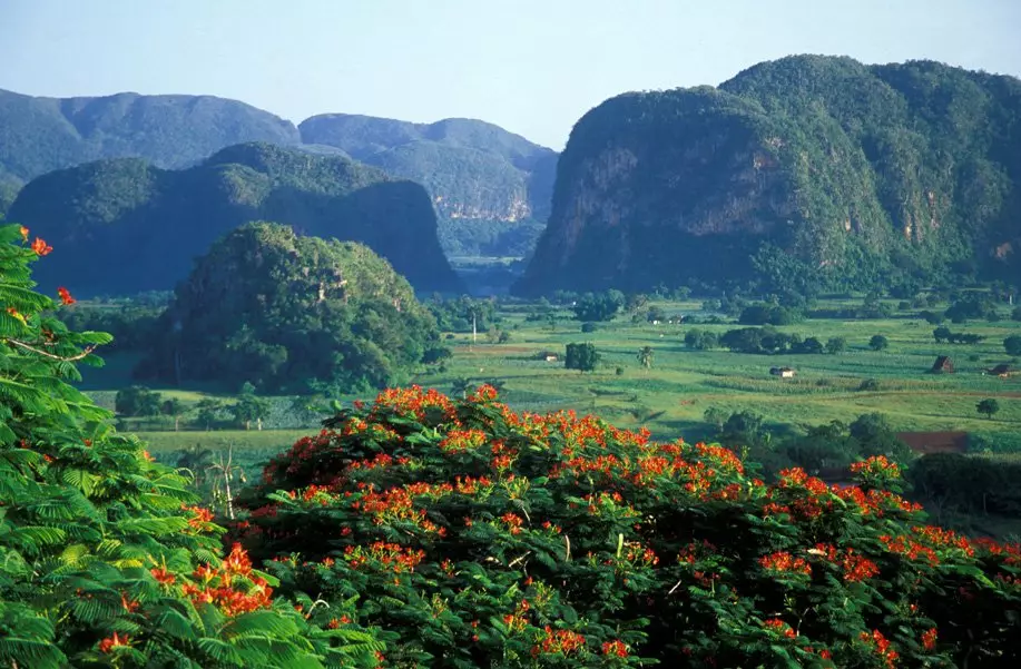 Isla de reserva