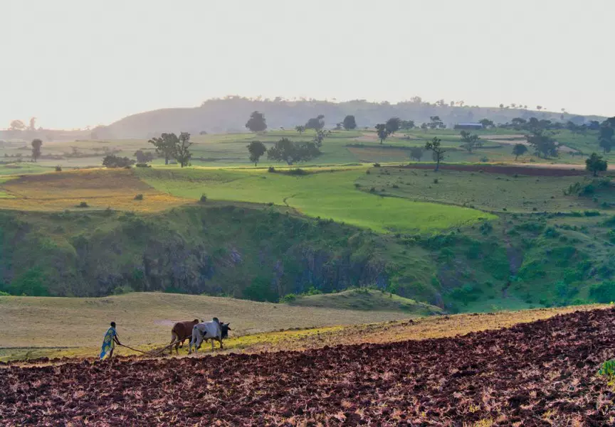 ኢትዮጵያ-በመጪዎቹ ሰዎች ሀገር ውስጥ