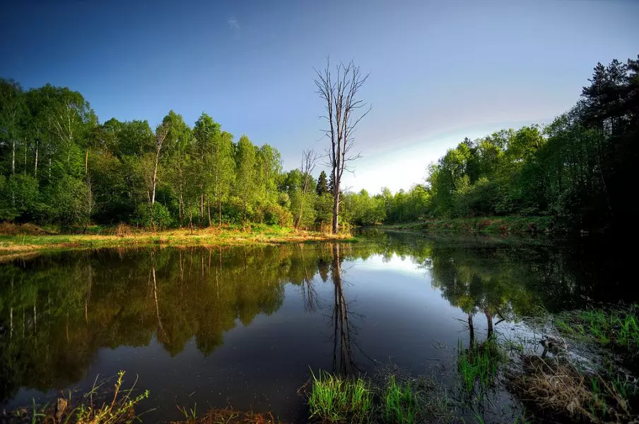 Suburbani metsade külastamine on piiratud kuni 4. augustini