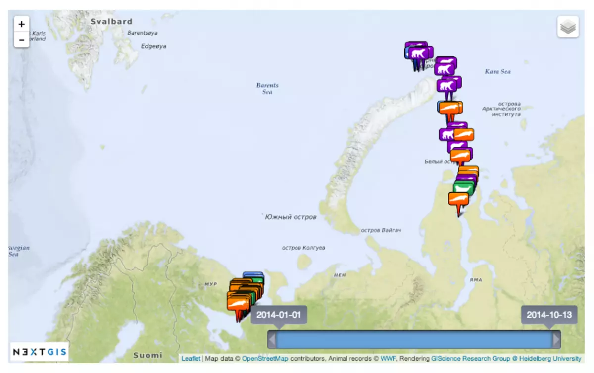 O mapa interactivo mostrará animais mariños do Ártico