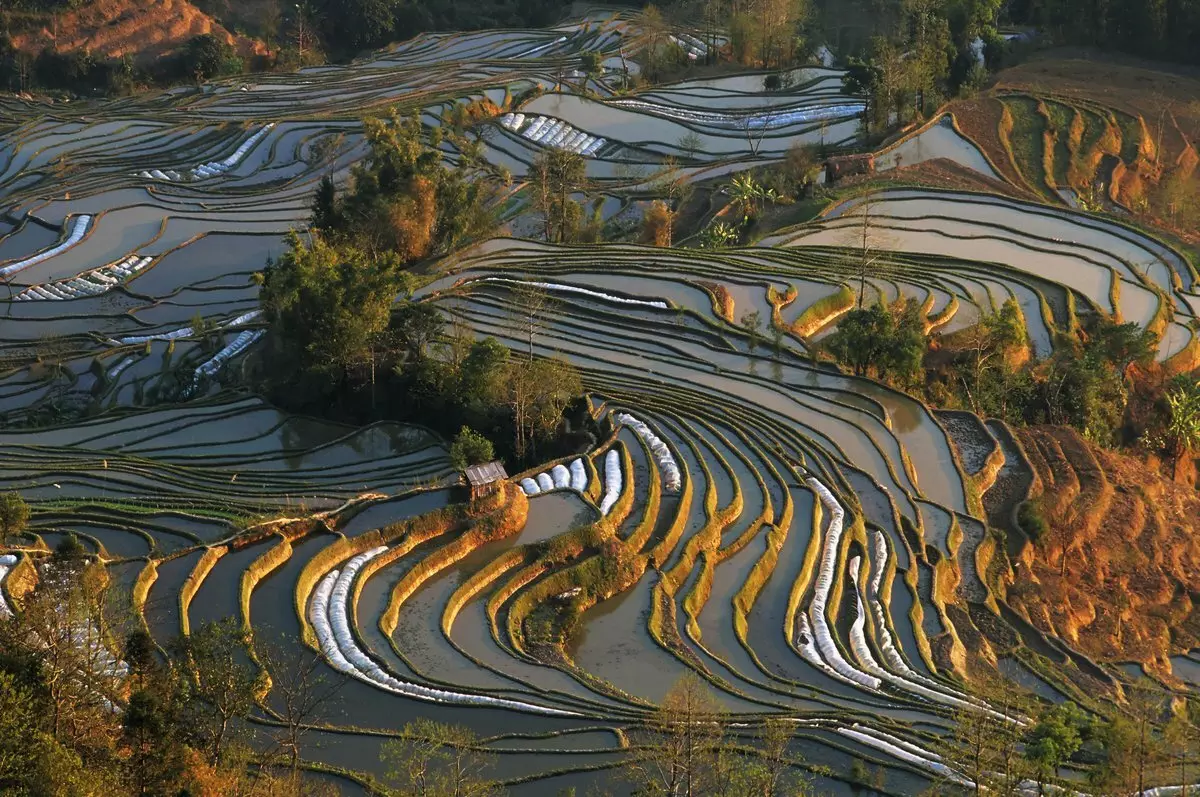 13 formes d'obrir Yunnan