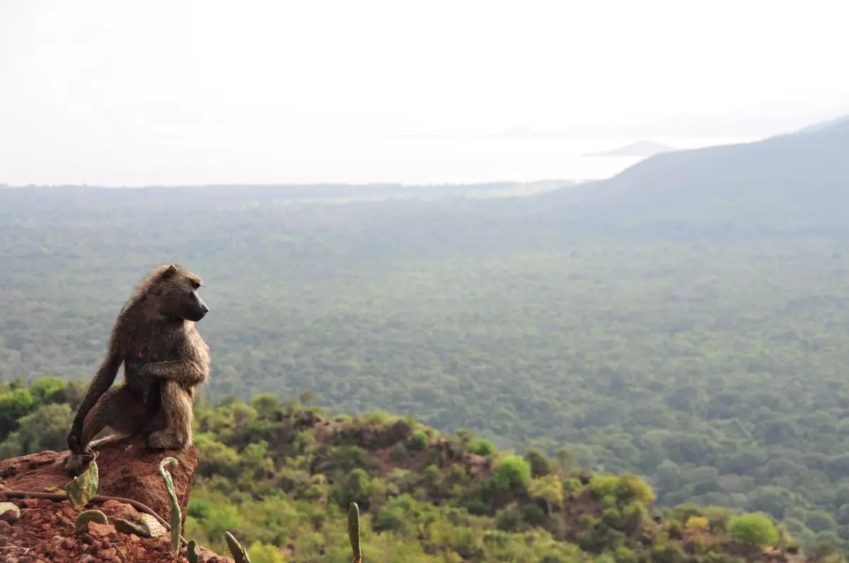 Ethiopia: Negara Bakar Matahari