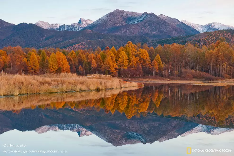 Rusia: Reserva Barguzinsky