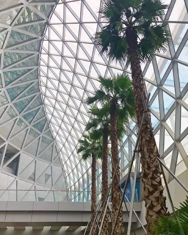 A giant waterfall will appear at Singapore Airport