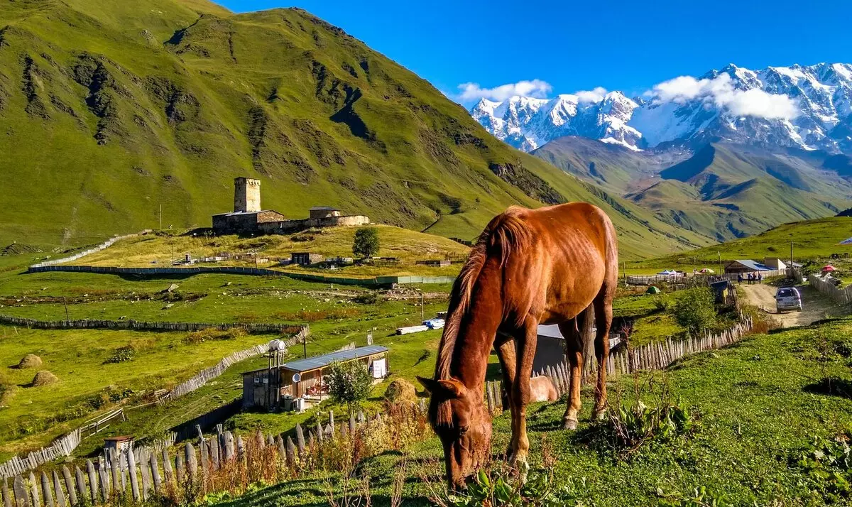 Sida loo tago Georgia hadda: 4 siyaabood