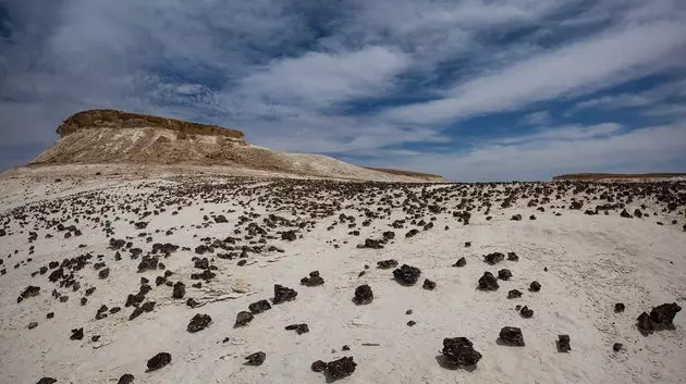 Plateau ustyy, kazakhstan. Fọto: Andrei Kameenev