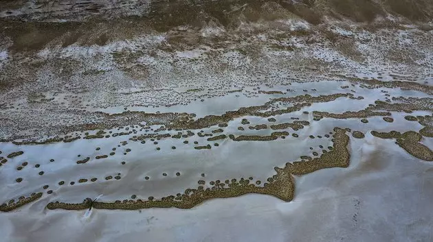 Plateau Utyurt, Kazakhstan. Argazkia: Andrei Kamenev