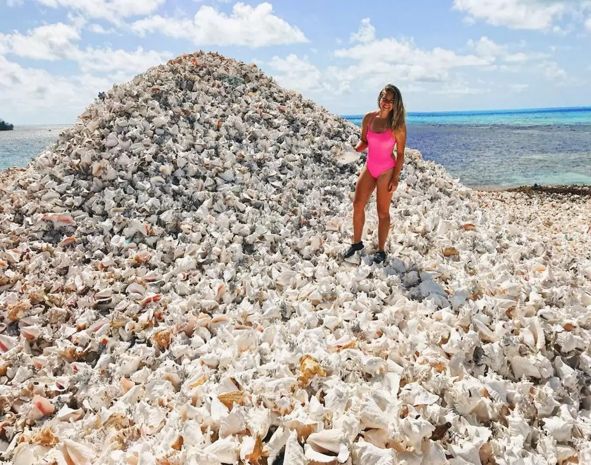 Island created by seashells: Caribbean Miracle