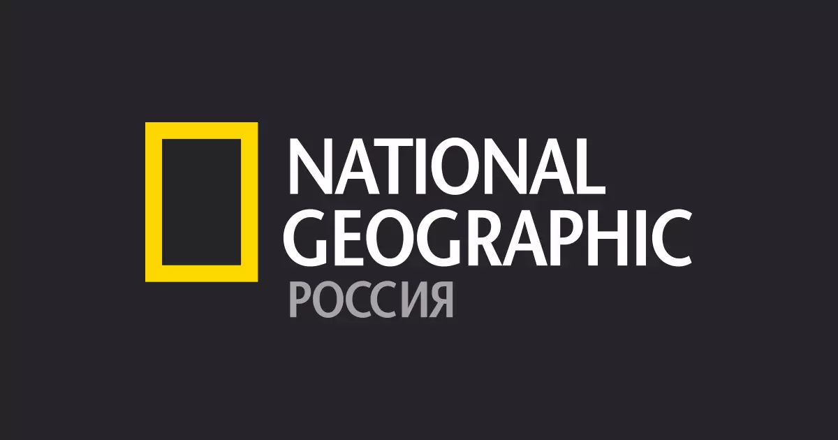 ホテルで最も魅力的で厄介なことは何ですか？ロシア全体からのビジネス旅行者に答える