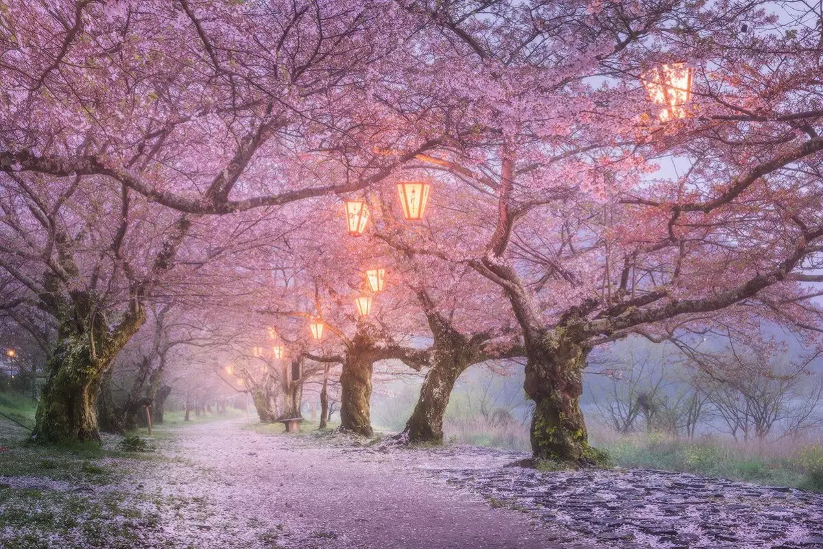 In lân wêr't alles oars is. Japan - Foar dyjingen dy't neat hawwe te ferrassen