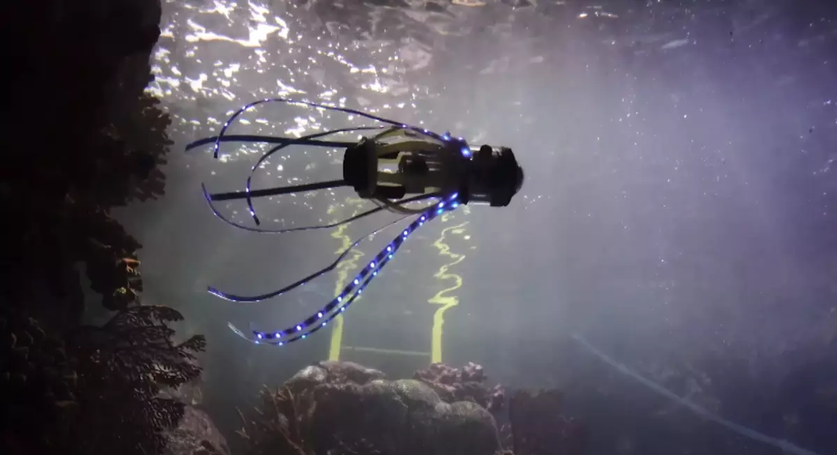 Arenenud robot, mis võib ujuda nagu kalmar ja foto kala: video