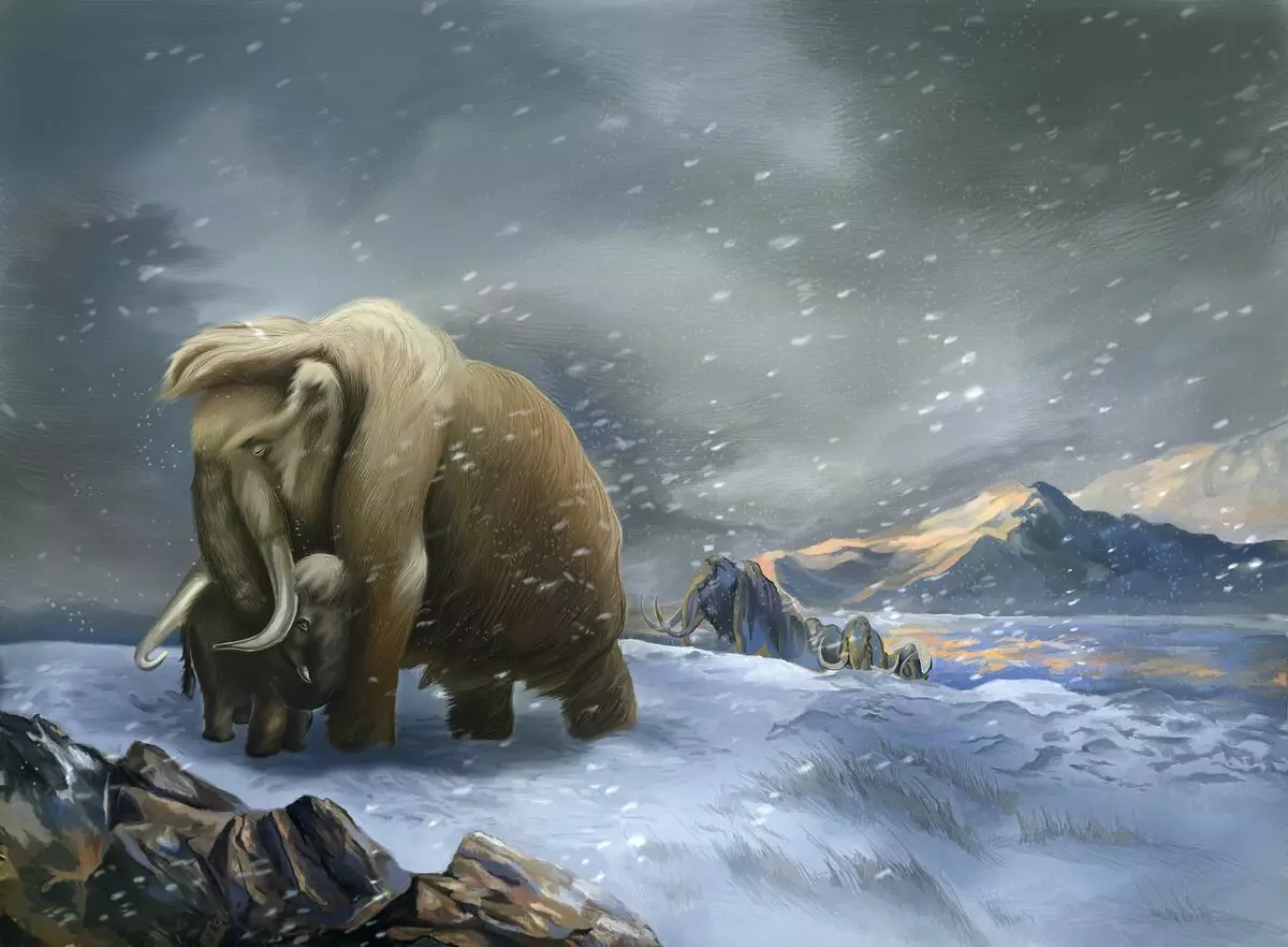 Mammoths: onların keçmişi və gələcəyi