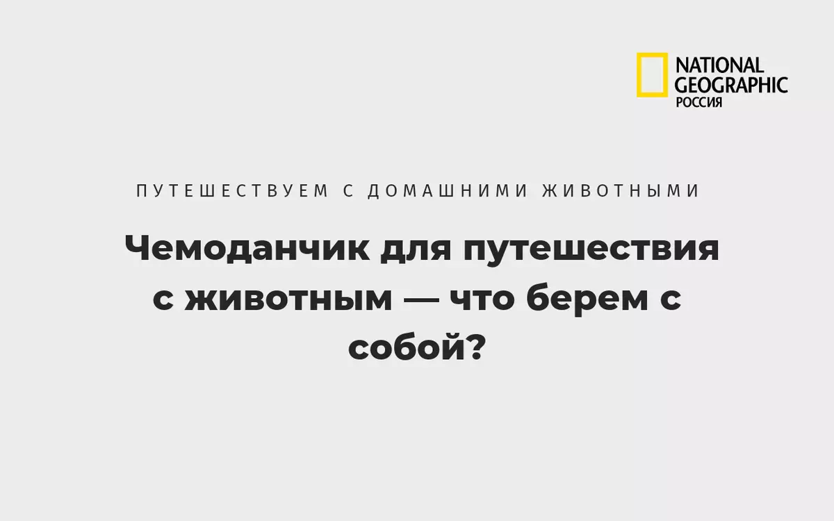 प्राणी सह प्रवास करण्यासाठी सूटकेस - आपण आपल्याबरोबर काय घेता?