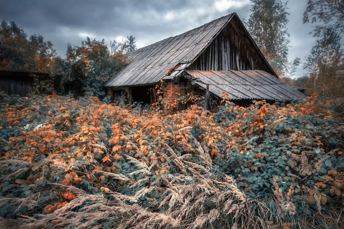 Ang unang Cyclecrut ay lilitaw sa Chernobyl alienation zone