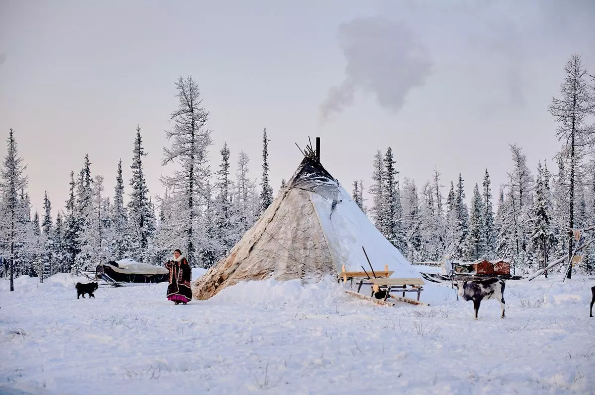 Yamal गर्न यात्रा: आर्कटिकको सद्भाविकता महसुस गर्नुहोस्