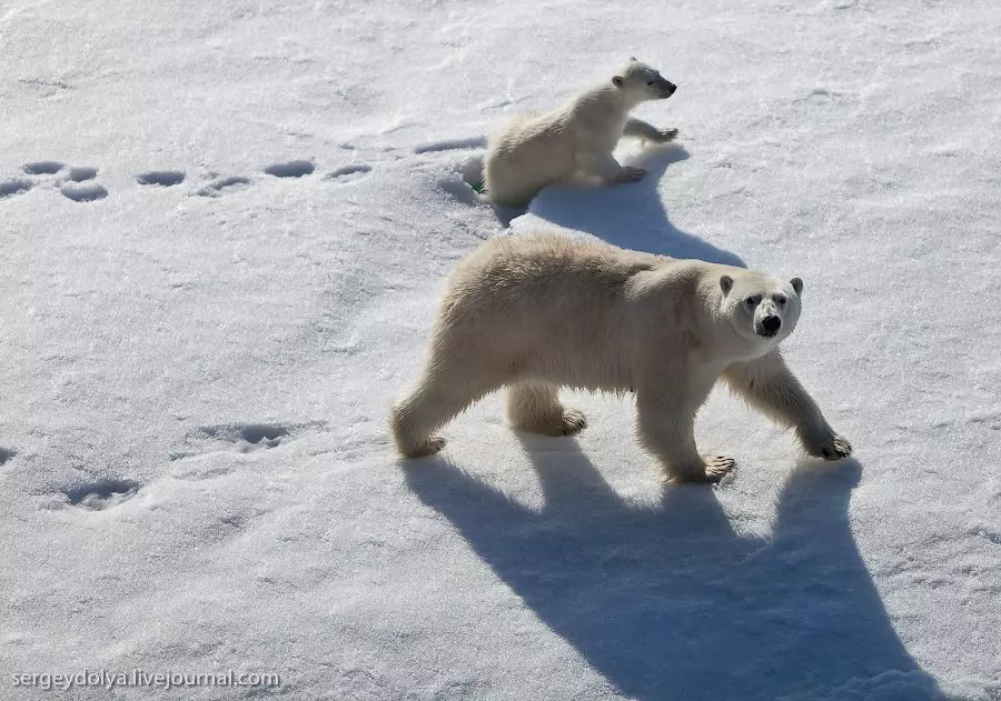 20110703_northpole_645.jpg。