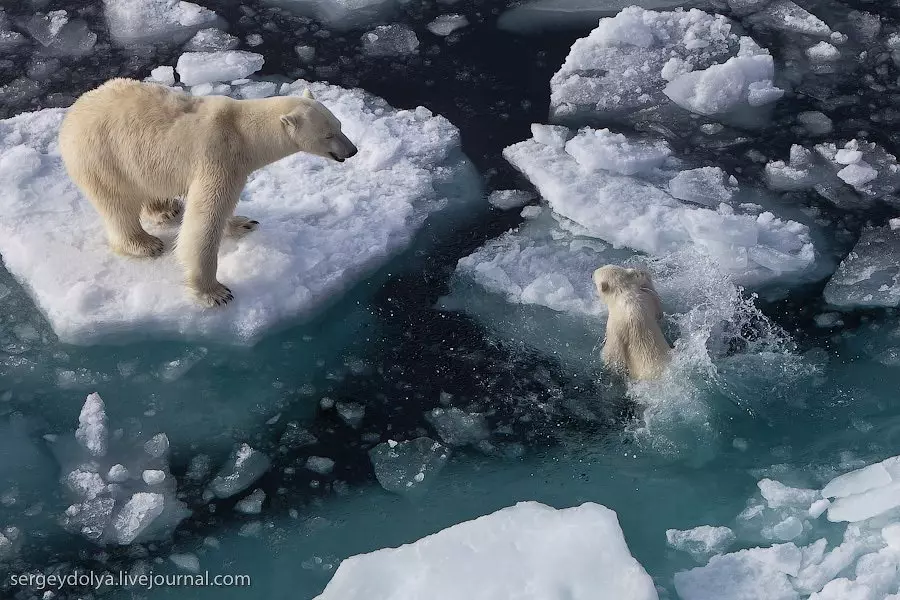 20110703_northpole_655.jpg。