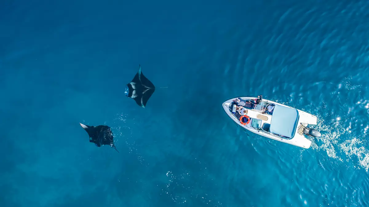 Iz Rusije lahko še vedno letite na Maldivih. Kako to storiti prav in kaj se morate spomniti med potovanjem