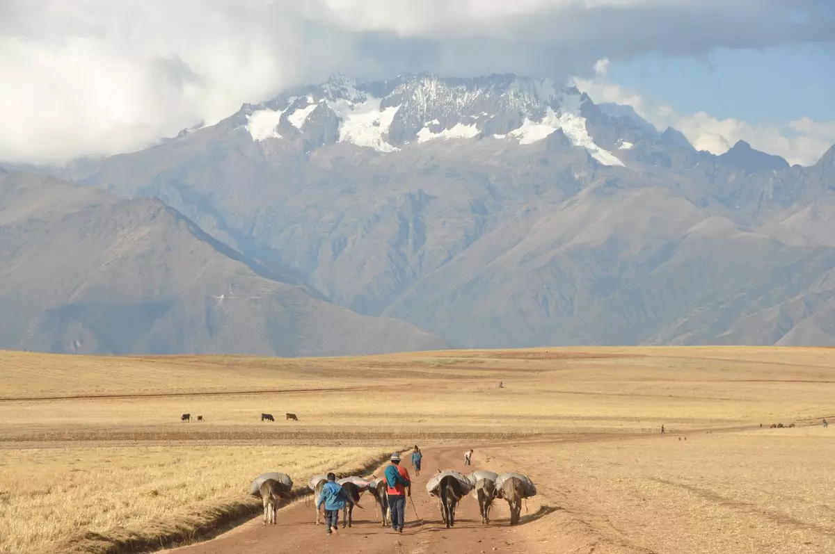 Irmãos pelo Peru