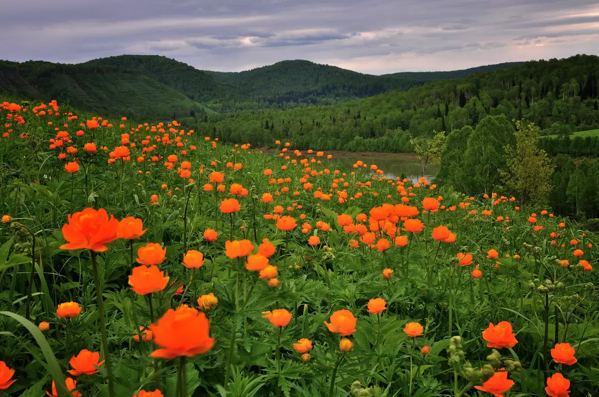 Mountain Borea: วันหยุดพักผ่อนสำหรับผู้ที่เบื่อกับ Red Polyana แล้ว