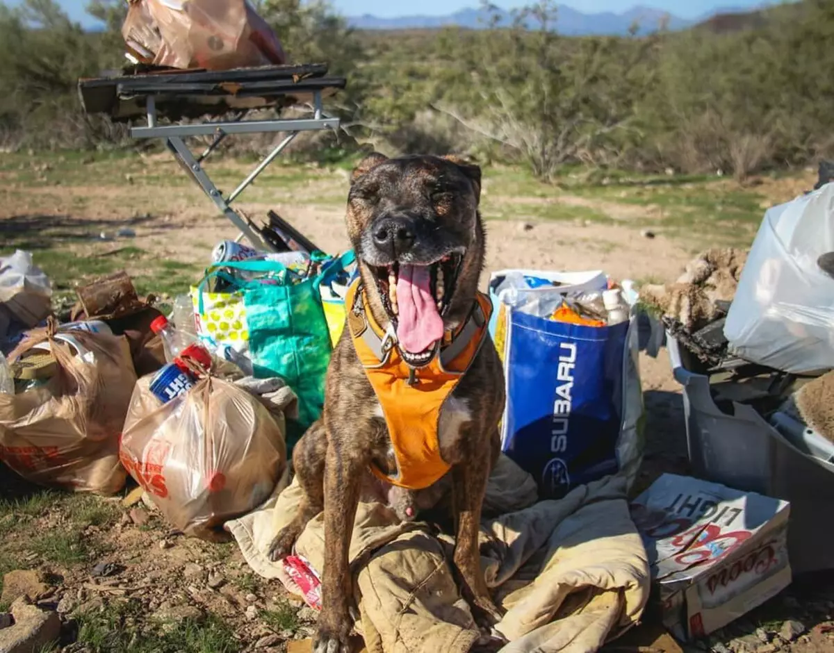 Klieb Neħħi Trash għall-Persuni: Video