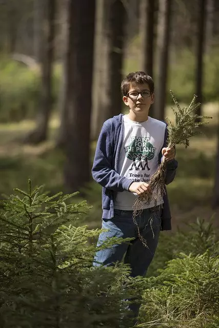 Como os escolares plantaron un millón de árbores