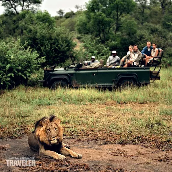 Współczesny przewodnik turystyczny Safari