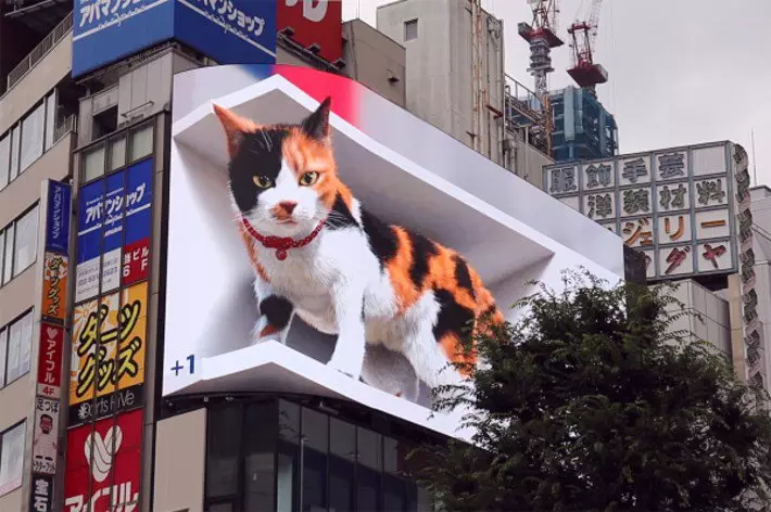 გიგანტური 3D-Cat ტოკიოს ქუჩებში: ციფრული რეკლამის მომავალი